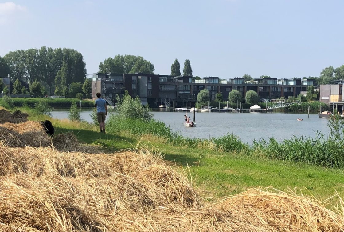 Lekker zwemmen in de Vlij - DordtCentraal | Gratis huis-aan-huis-krant ...