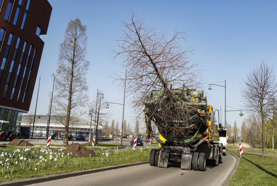 Bomen op reis - DordtCentraal | Gratis huis-aan-huis-krant voor ...