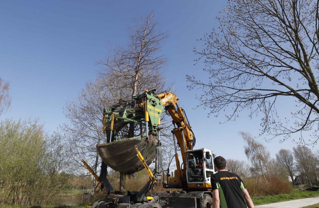 Bomen op reis - DordtCentraal | Gratis huis-aan-huis-krant voor ...