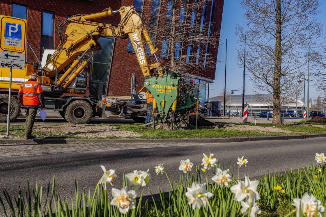 Bomen op reis - DordtCentraal | Gratis huis-aan-huis-krant voor ...